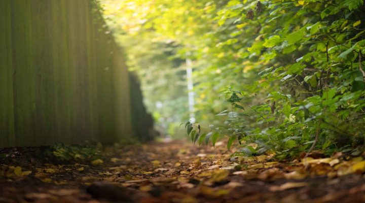 Sarah Ivens Hypnotherapy | Past Life RegressionPast Life Regression ...